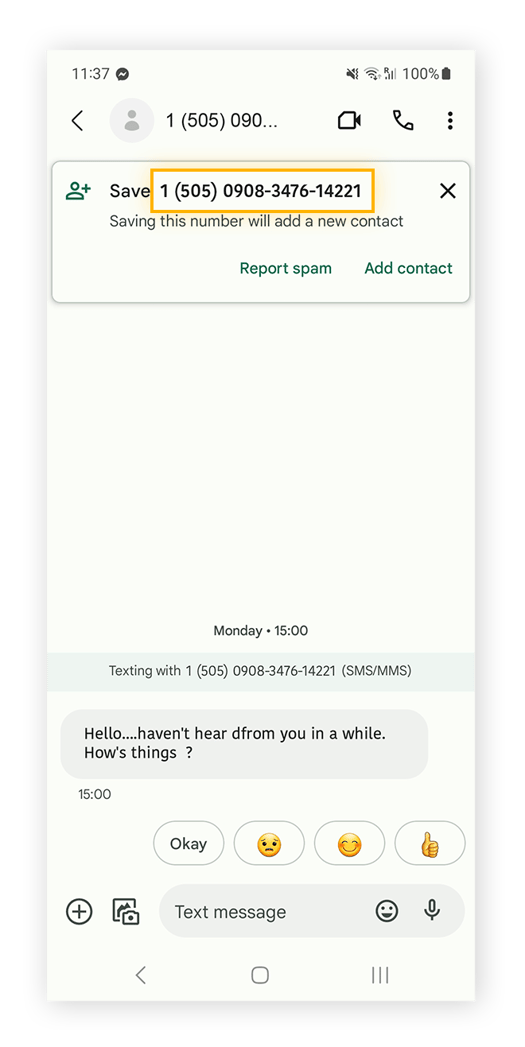 Wie man Fake-SMS erkennt: Studie und Beispiele