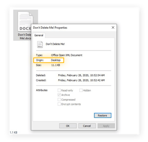 How to Recover & Restore Deleted Files in Windows